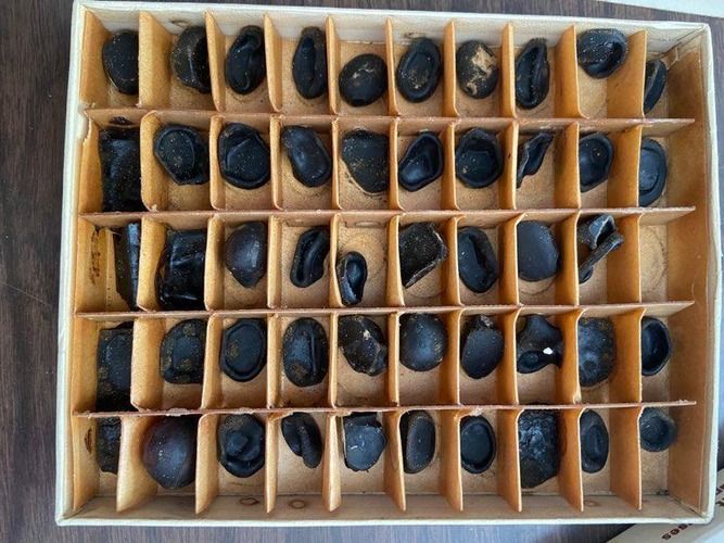 Liver Flukes in Goats: Parasites With a History - Goat Journal